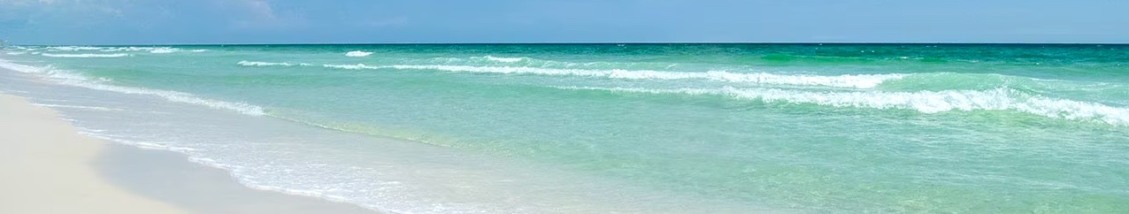 TOPEKA ~ Moon Crush An Avett Moon '24 | Nov 8-10, 2024 | Miramar Beach ...